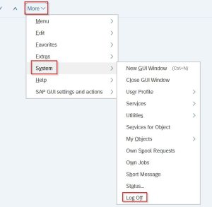 How to Logon to SAP System - SAPfaqs.com